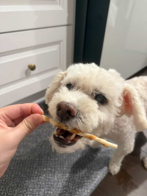 Best Bulk Dog Treats in the USA | Affordable & Healthy Chews